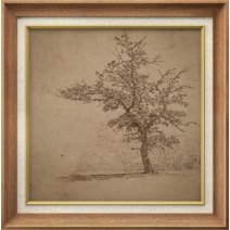 ArtAppealz Allan Friedlander "Forest And Harvest" Removable Wall Art - Walmart.com