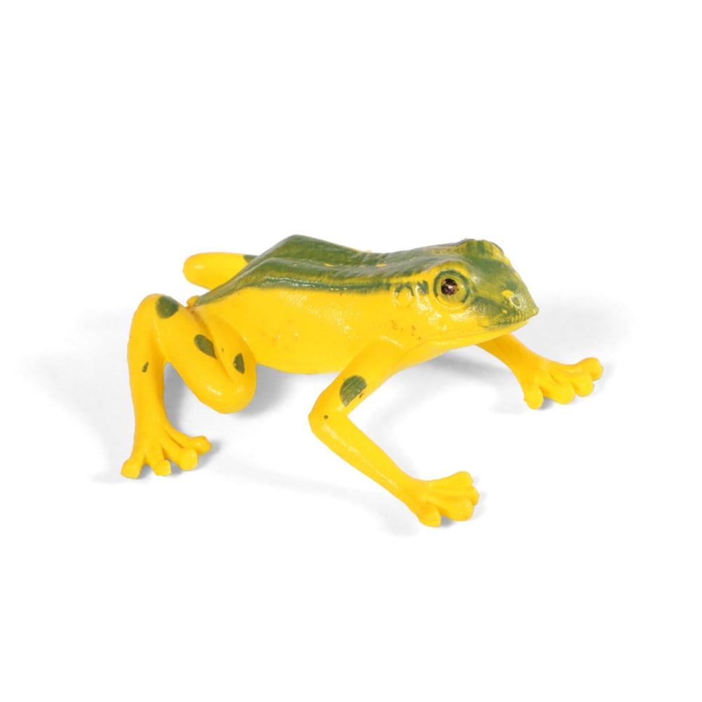 IDEANATEGRATE 12Pcs Frog Classroom PVC Frog Themed Classroom Decor For ...