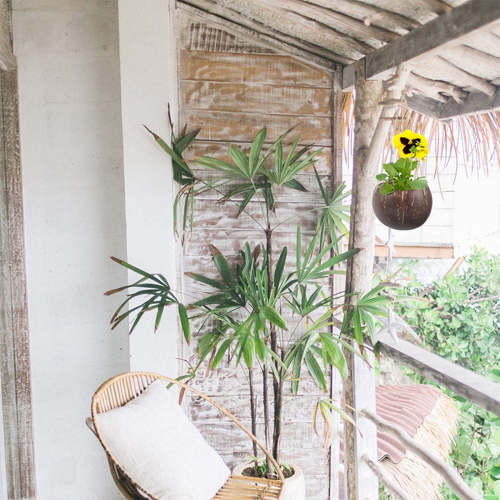 IDEANATEGRATE 2Pcs Decorative Coconut Shell Hanging Plants Pot for ...