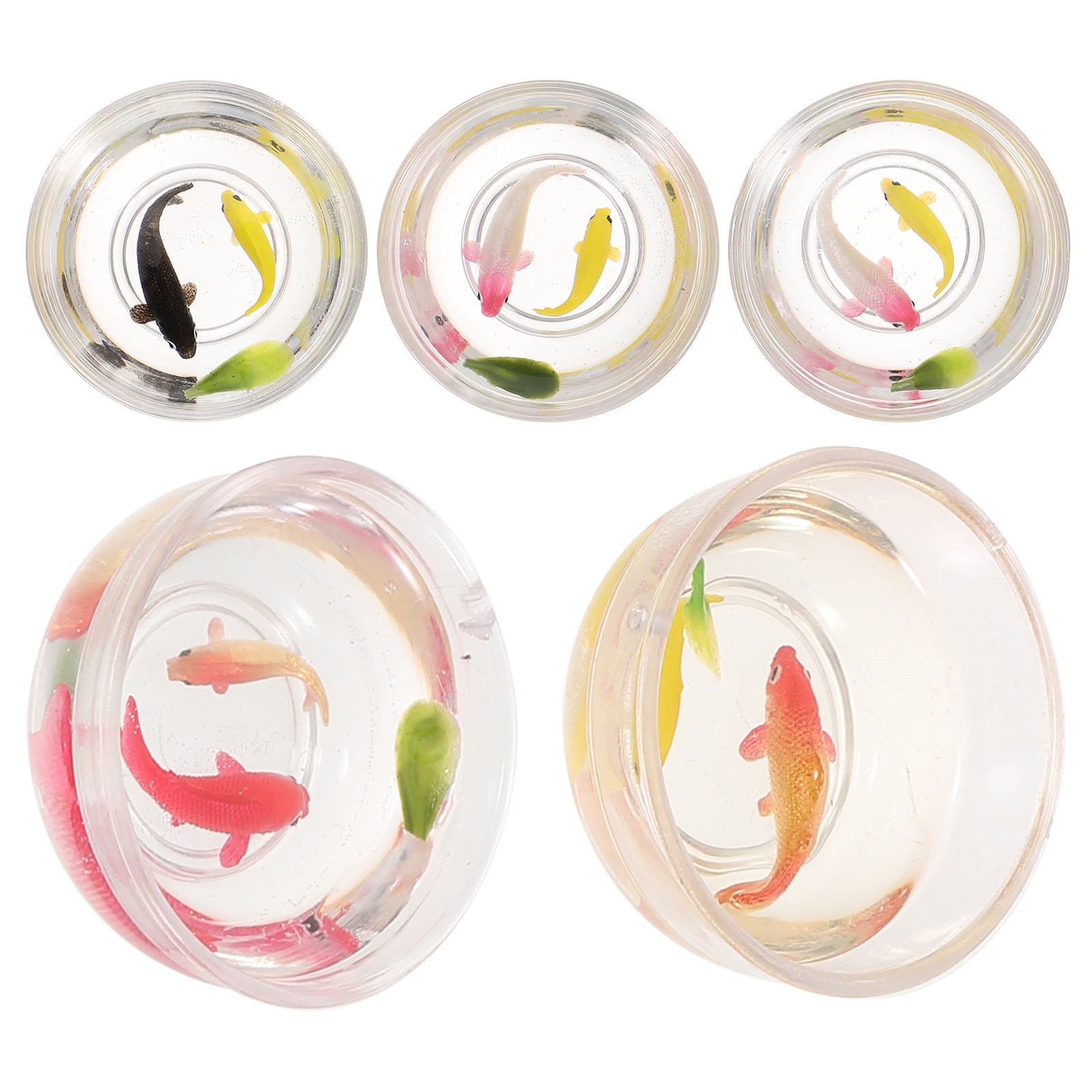 IDEANATEGRATE 5Pcs Miniature Fish Tank Models Acrylic Glass Aquarium ...