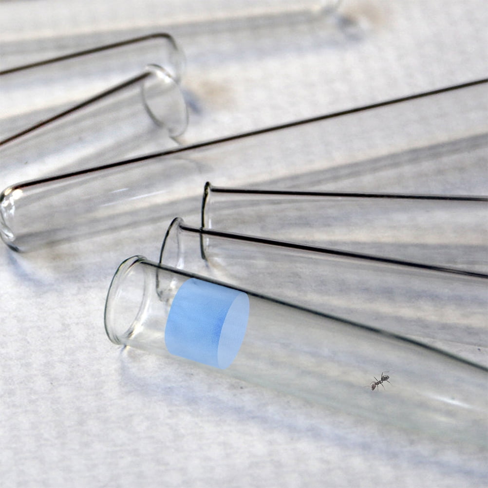 IDEANATEGRATE Ants Farm Test Tube Sets with 10Pcs Cylindrical Sky-Blue ...
