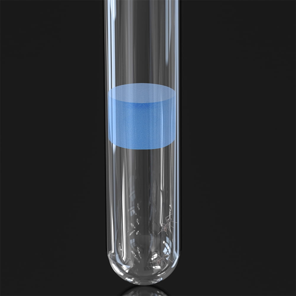 IDEANATEGRATE Cylindrical Sky-Blue Sponge Plugs 10Pcs for Ants Farming ...