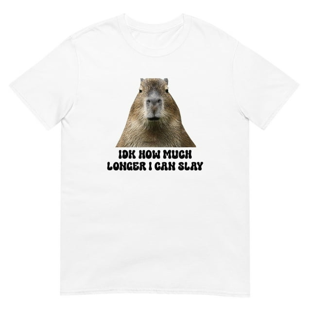 IDK How Much Longer I Can Slay Shirt - Walmart.com IDK How Much Longer I Can Slay Shirt - Walmart.com