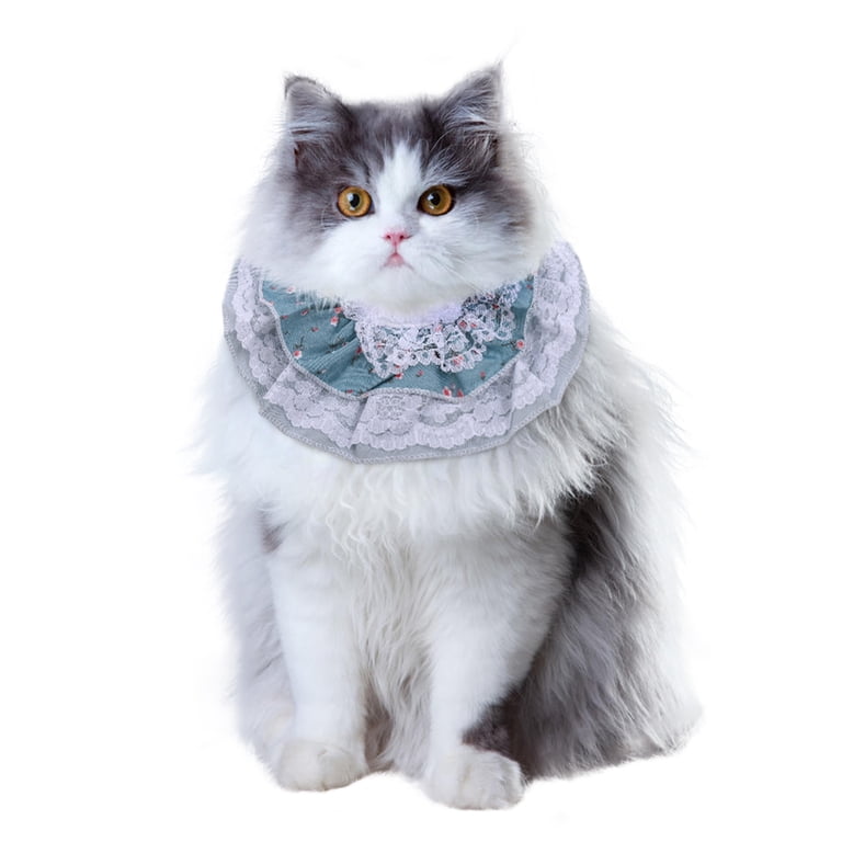 Cat Wedding Dress