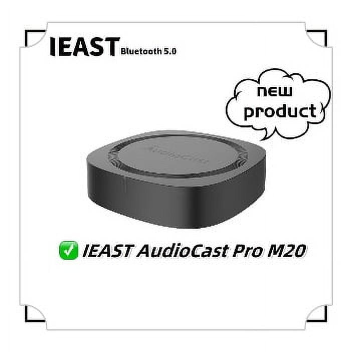 IEAST AudioCast Pro M20 Wireless Bluetooth 5.0 Music Box Hifi System ...