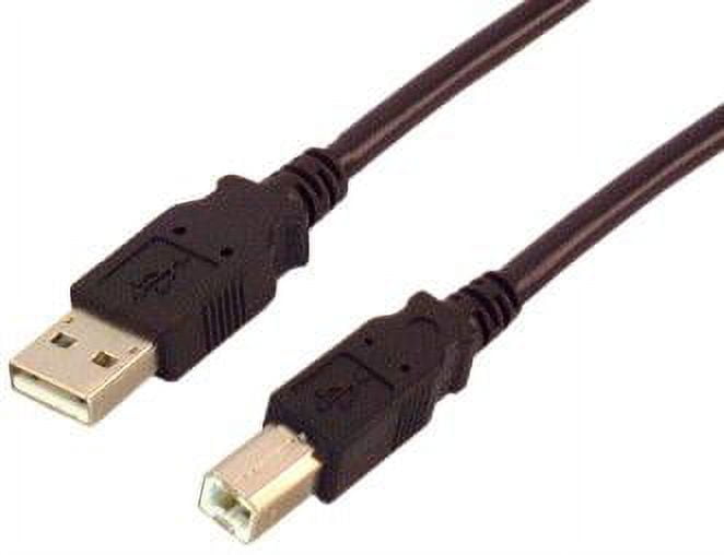 IEC M24040-15 USB Type A to Type B Jumper Cable 15 feet (USB 2.0 ...