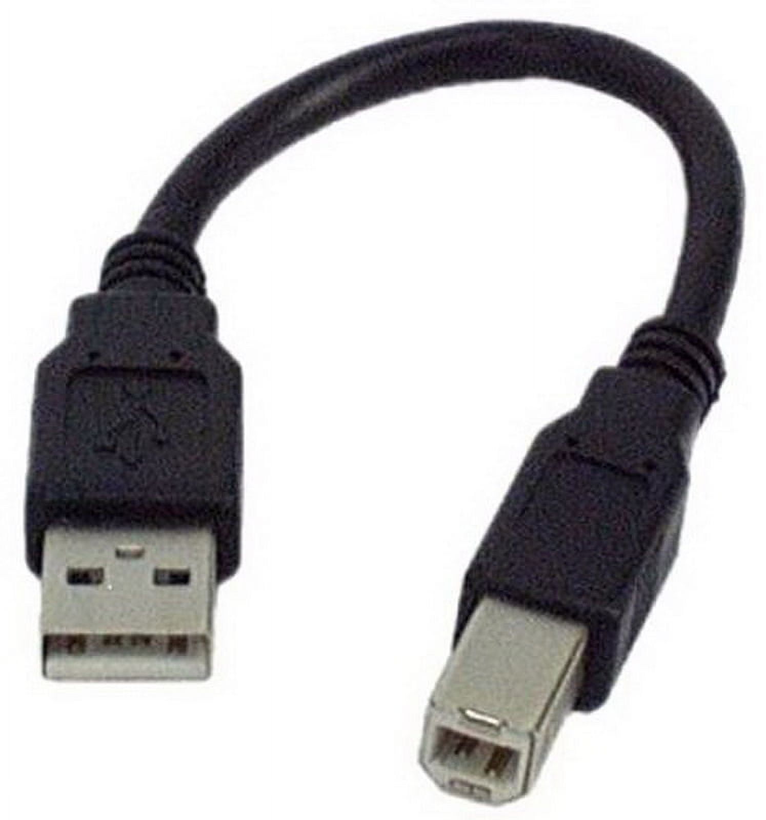 IEC M24040-.5 USB Type A to Type B Jumper Cable 6 inch (USB 2.0 ...