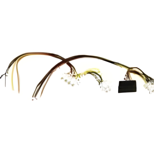 IEI Technology CB-855EB-RS, DC cable for ACE-855/845 power to CPU card,W/4PIN 12V CPU / HDD / S ...