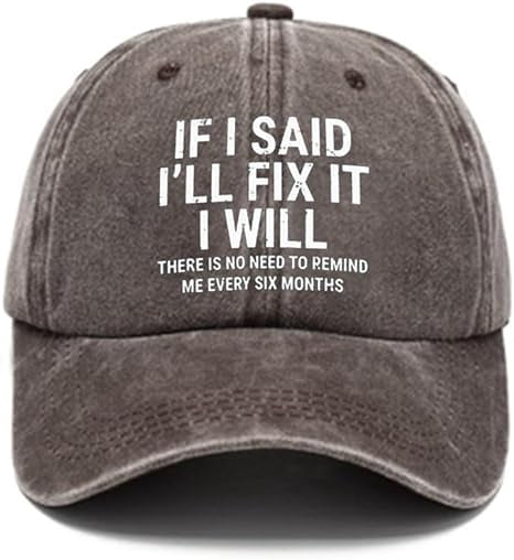 IF I Said I'll Fix It I Will There is No Need to Remind Me Funny Words ...