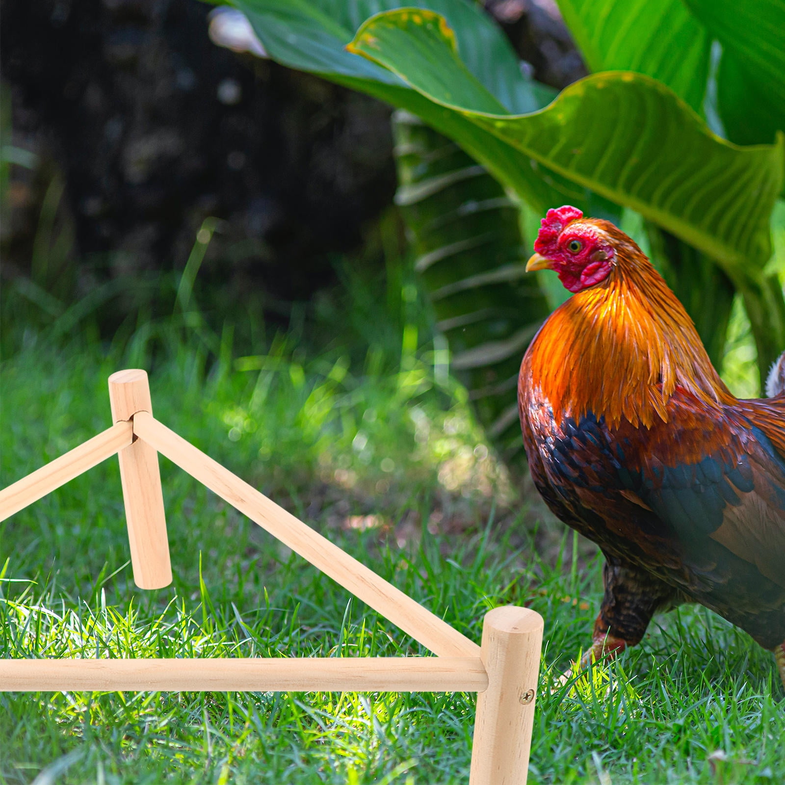 IFANLANDOR 1Pcs Beige Wood Perch for Chicken Coop with Bird Cage Toy 16 ...