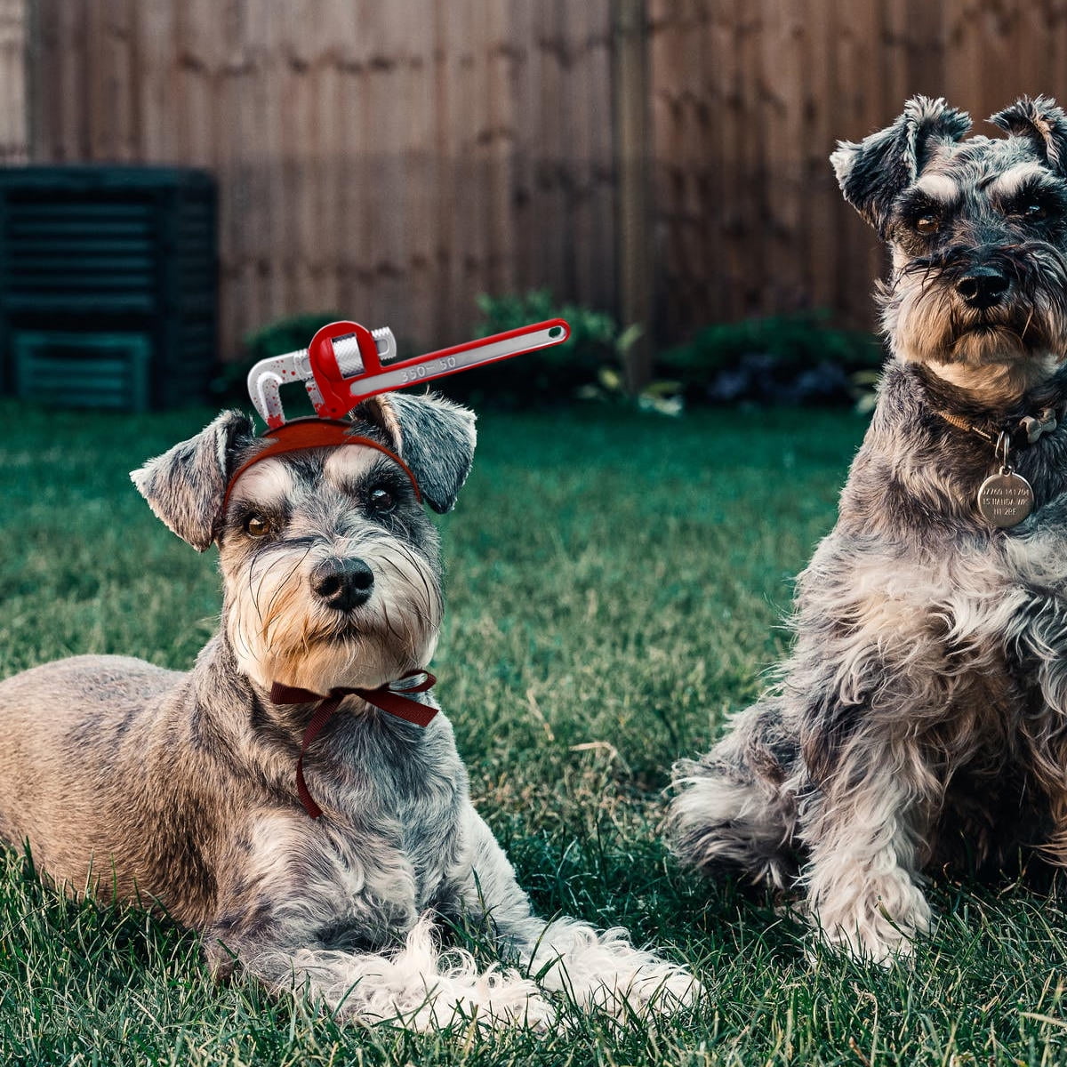 IFANLANDOR 50Pack Theme Pet Prop Hat for Dogs Cats Photo Shoot Fancy ...