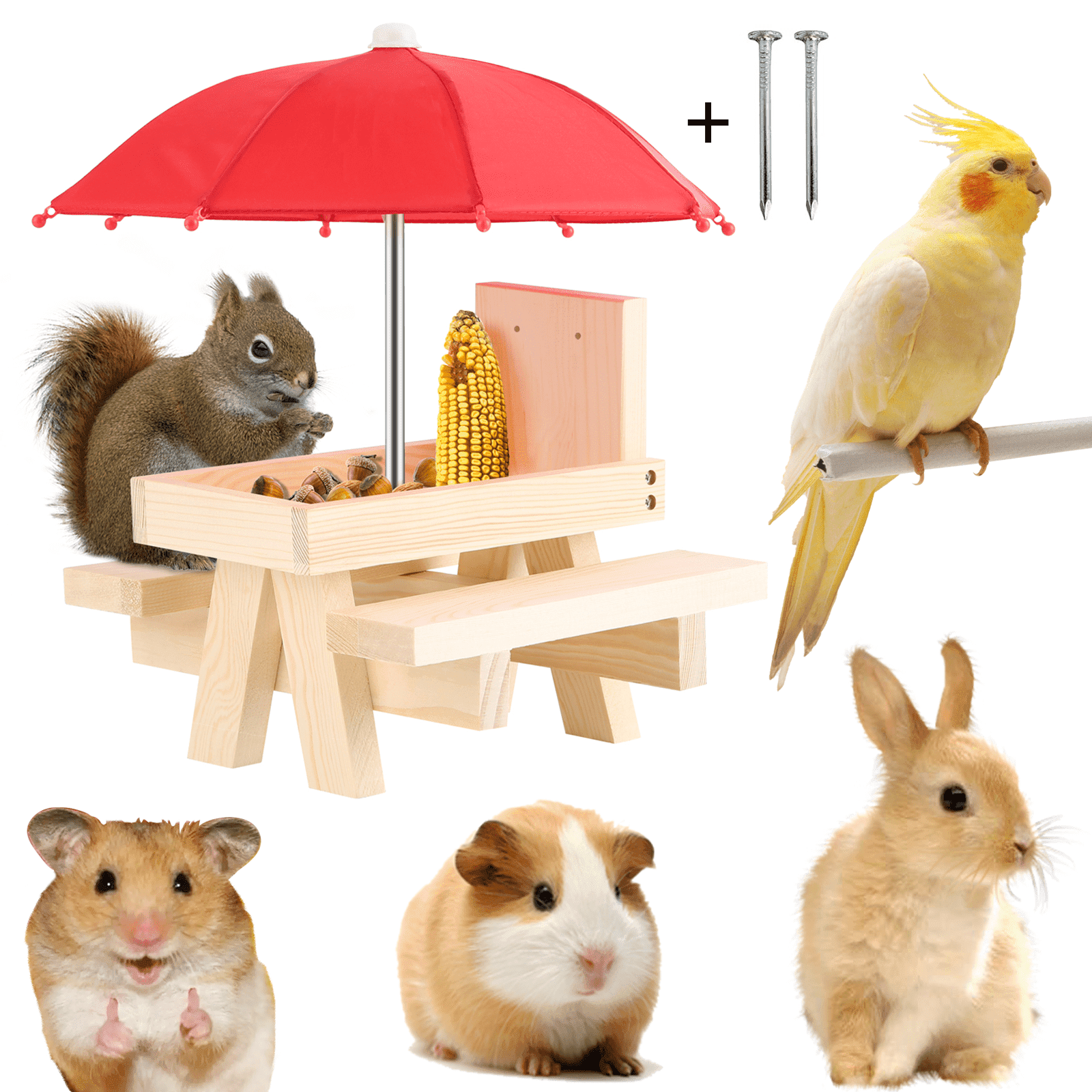 IFCOW Squirrel Feeder,Small Pets Feeder with Umbrella, Outdoor Small ...