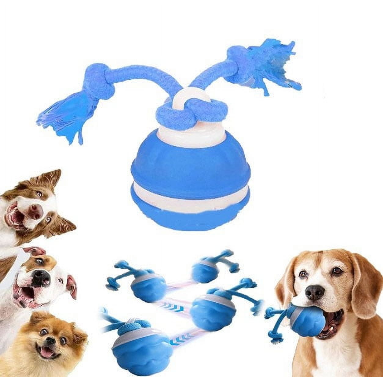 IGEED Interactive Dog Toys with Rope,Rechargeable Motion Activated ...