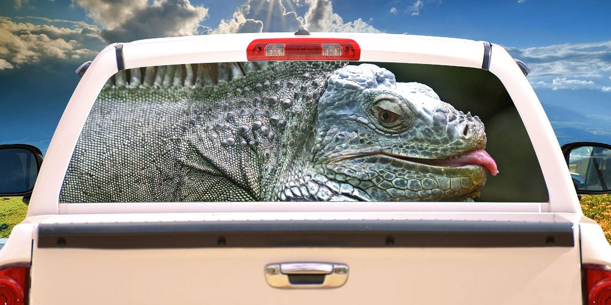 IGUANA Rear Window Graphic truck view thru vinyl decal back - Walmart.com