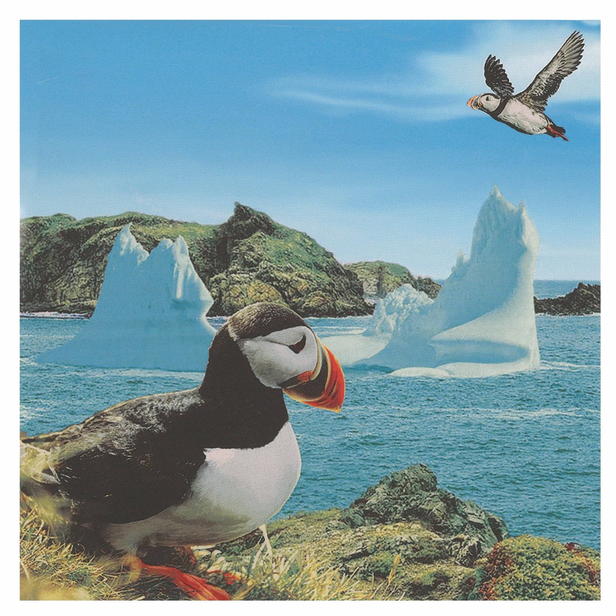 IH Casa Decor 20 Pack Luncheon 3 Ply Napkin Puffin - Set of 6 - Walmart.com