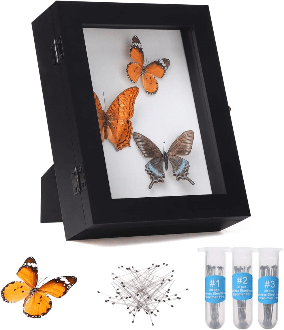 IHEIPYE Insect Display Case Wall Mount Bug Display Case Collection Box ...
