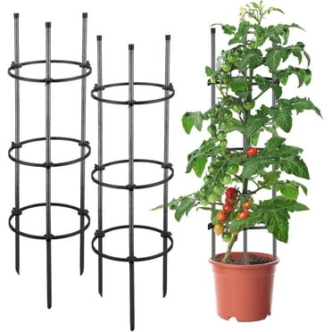 Qianying Free-assembling Plant Support Cage for Climbing ...