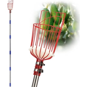 EVERSPROUT Telescopic Fruit Picker, 12-Foot Extendable Apple Picking ...