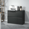 STANI Lockable 4 Drawer Black File Cabinet, Metal Office Storage ...