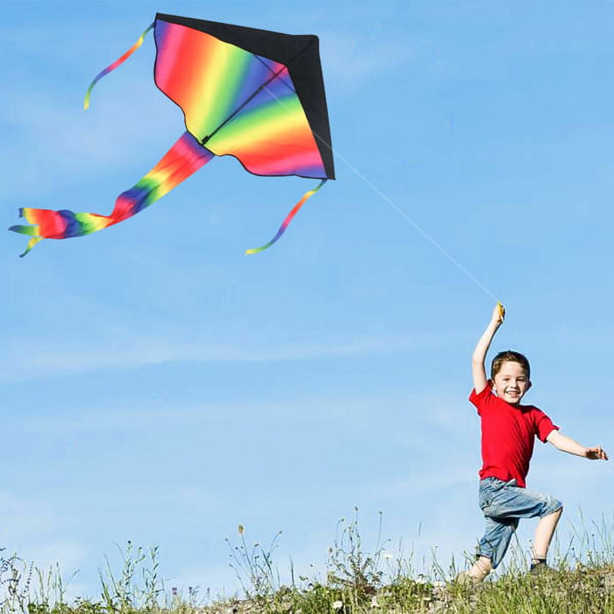 IM Beauty 1* kite+1* with 100-meter linRainbow Delta Kite, Kites for ...