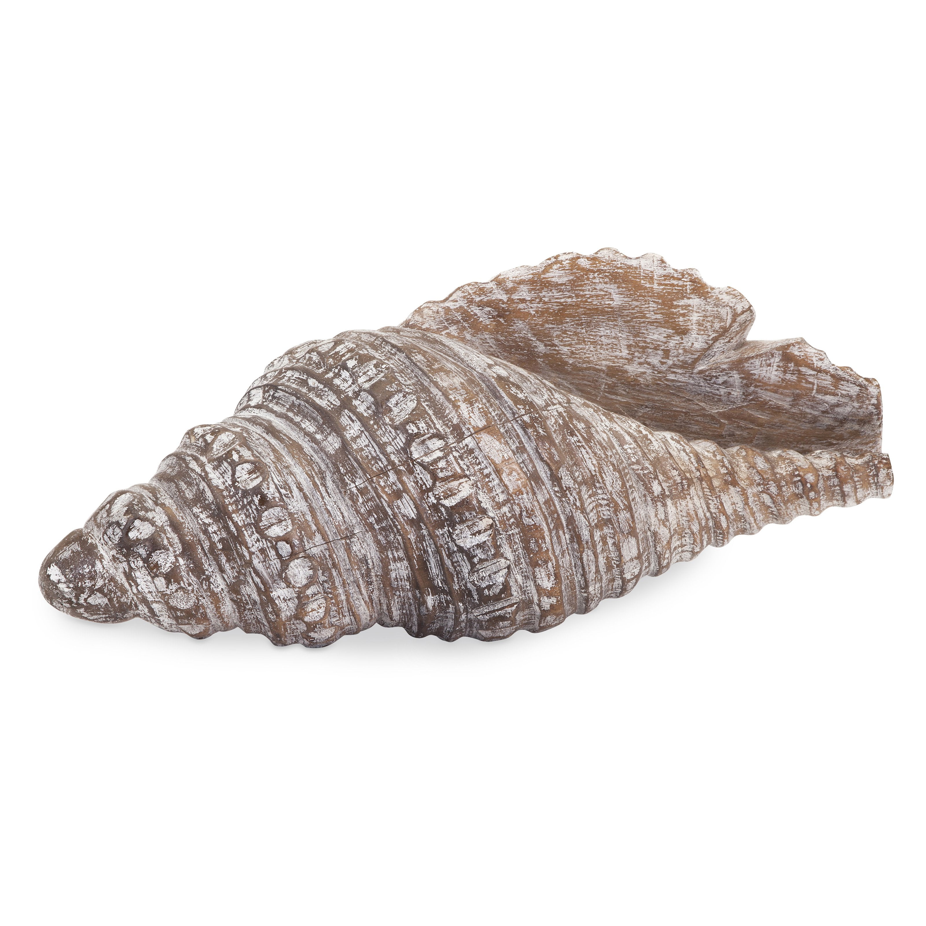 IMAX Albasia Wood Carved Shell (95576) - Walmart.com