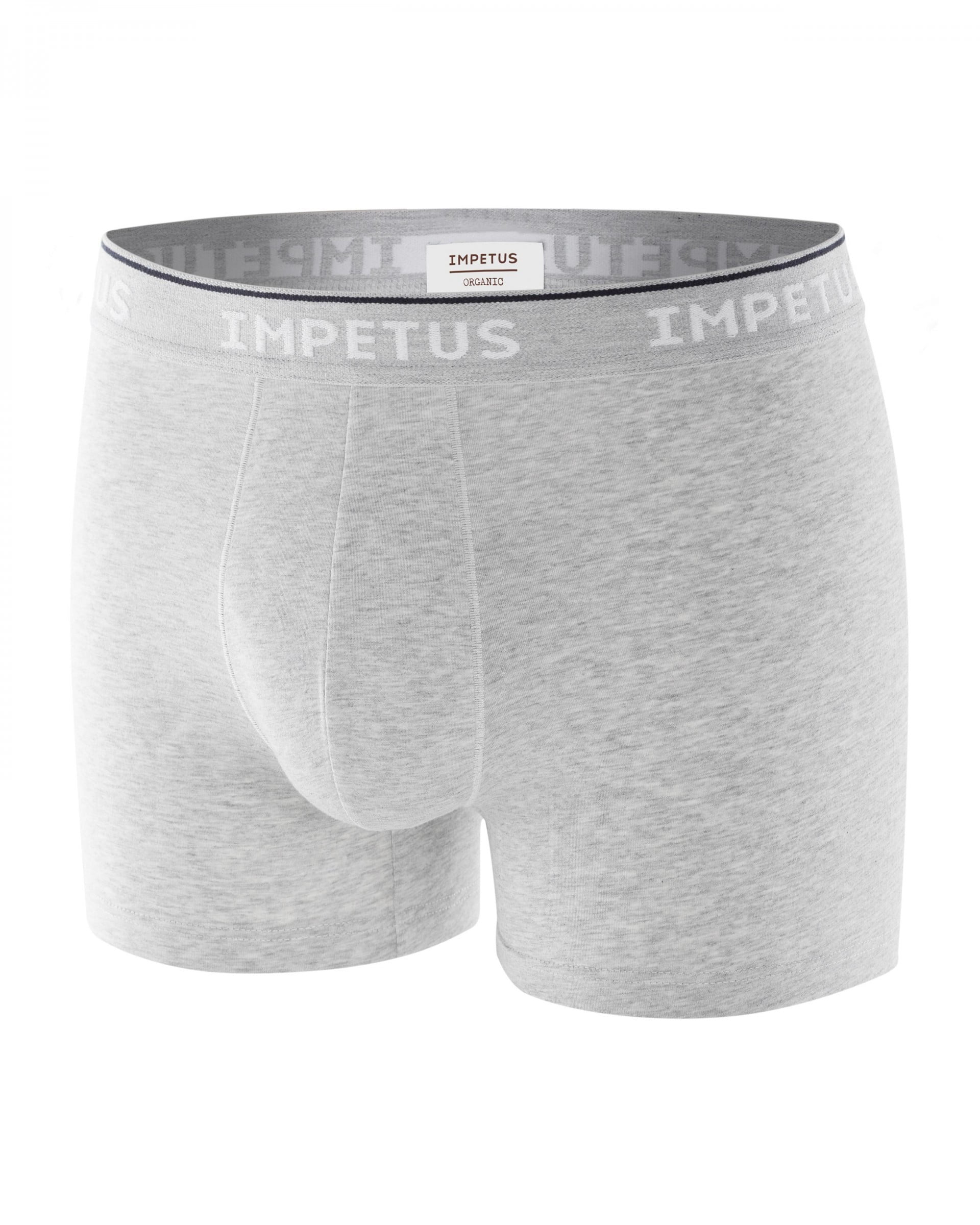 IMPETUS Certified Organic Cotton Boxer Brief, Gray, Medium - Walmart.com