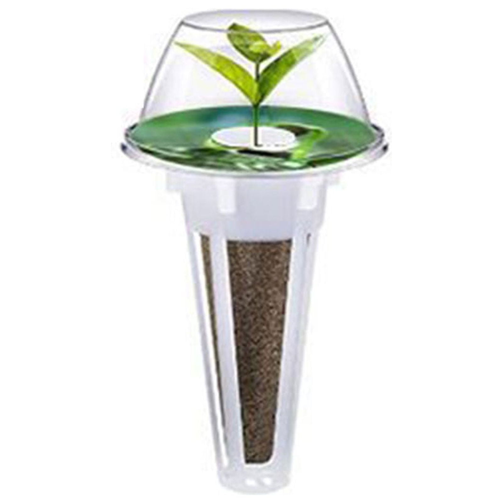 IMossad Green Leafy Vegetables Seed Pod Kit - Includes Romaine and ...