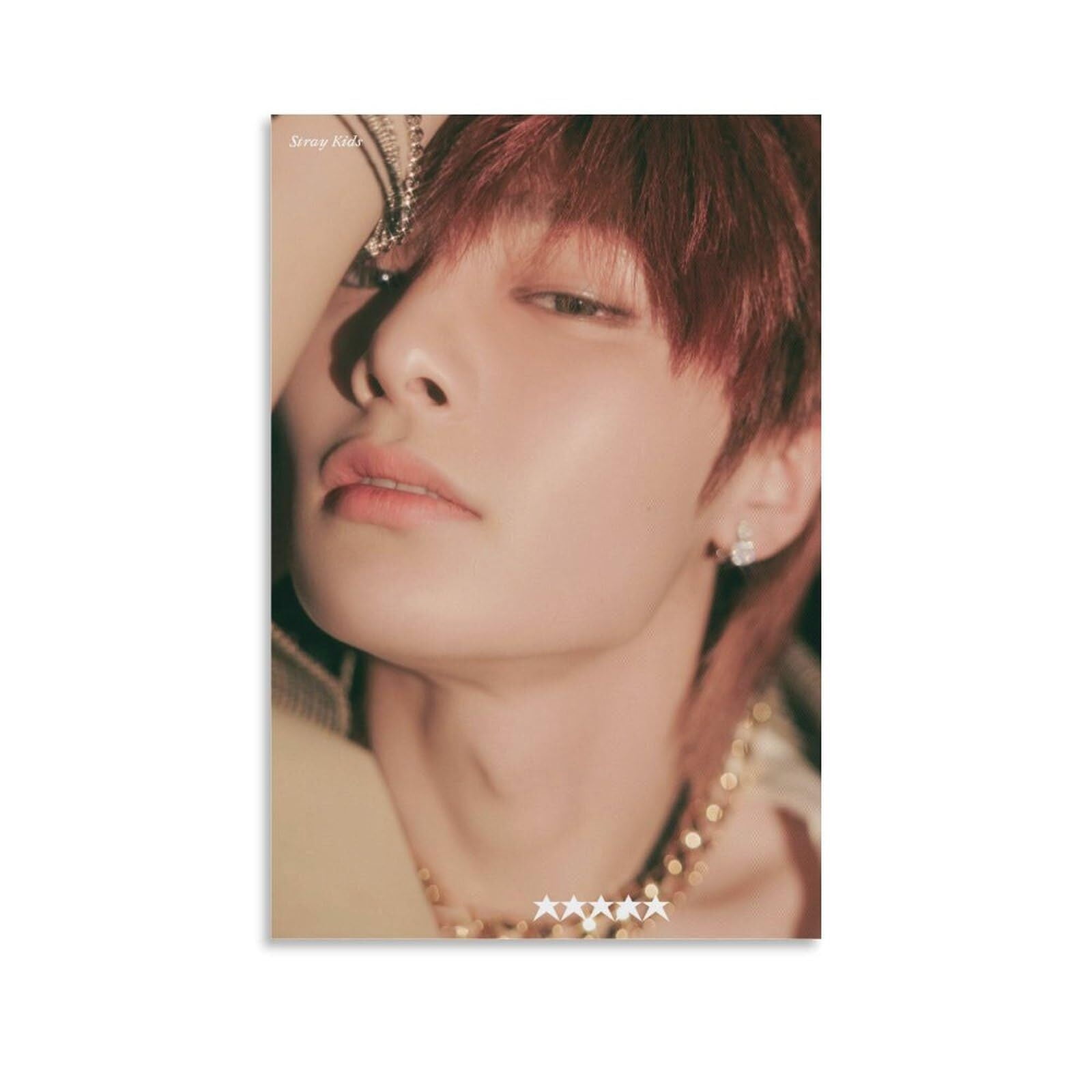 IN Stray Kids 5-star Merchandise IDOLS ARTIST KOREAN Canvas Poster ...