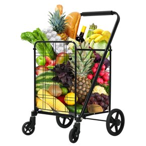Senior Carts