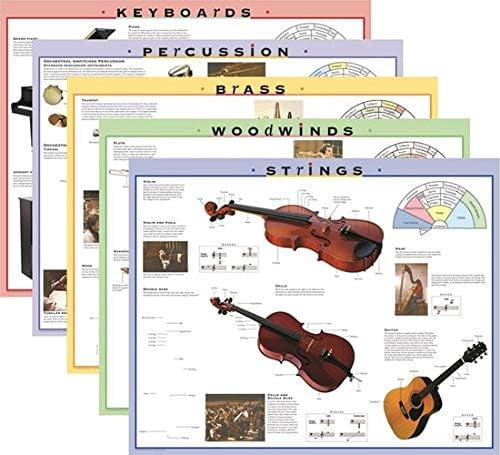 INSTRUMENT FAMILY POSTERS - Walmart.com