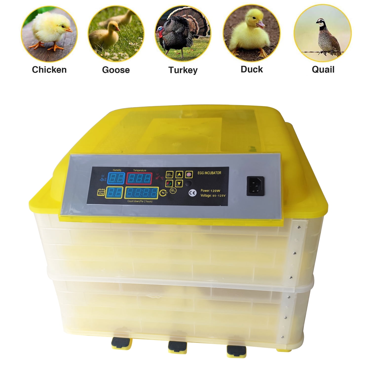 INTBUYING 96 Eggs Auto Egg Incubator Poultry Bird Hatcher with Egg ...