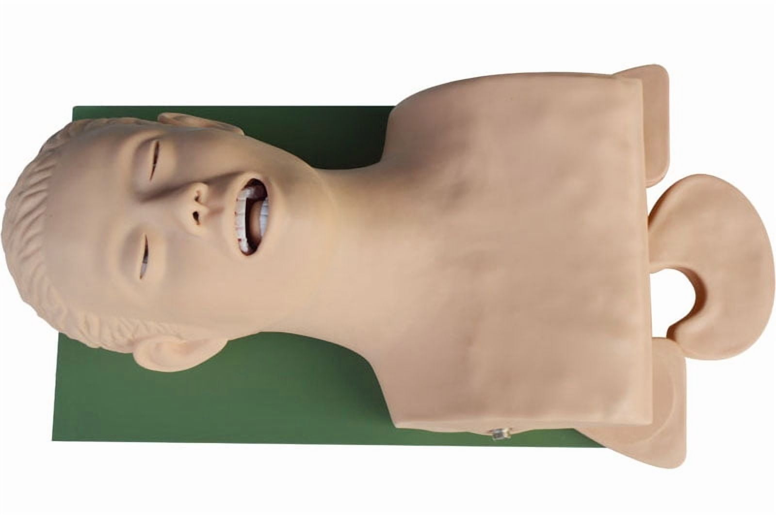 INTBUYING Airway Management Trainer Tracheal Intubation Training ...