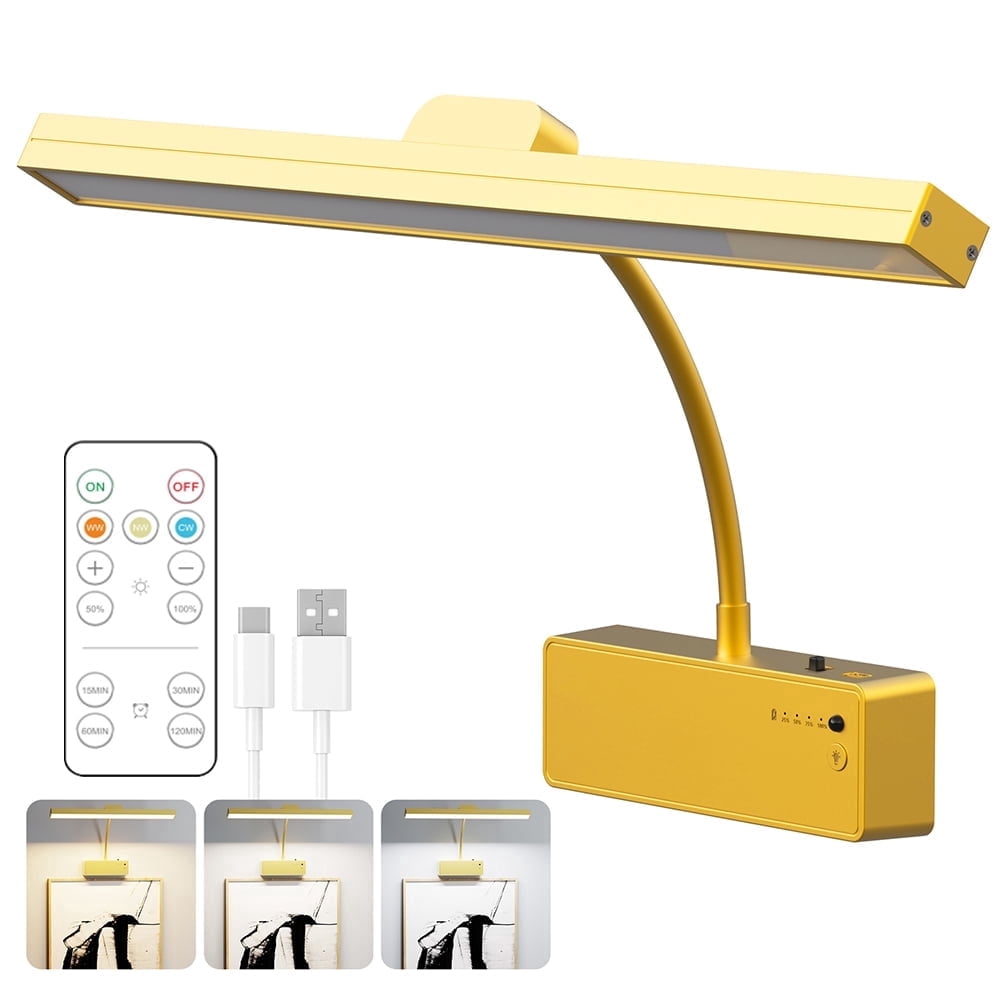 INTELIVE Wireless Painting Light with Remote, 3000mAh Rechargeable ...