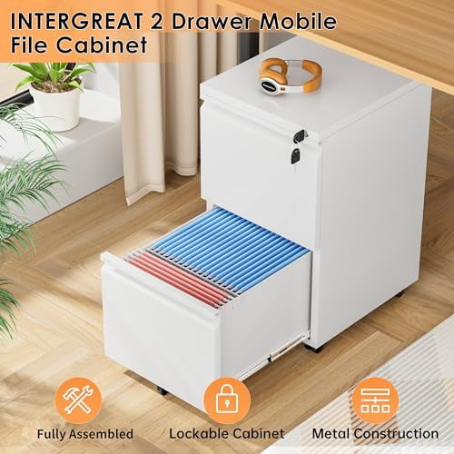 INTERGREAT 2 Drawer Mobile File Cabinet with Lock, Under Desk Metal ...