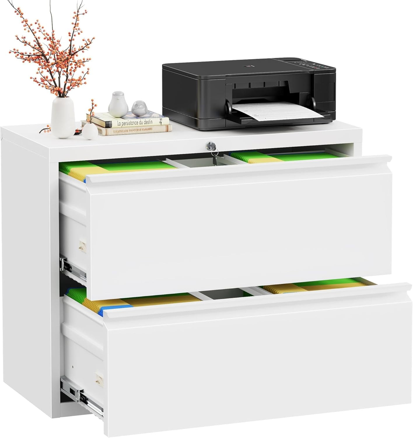 INTERGREAT Lateral File Cabinet 2 Drawer, Metal 2 Drawer White Filing ...