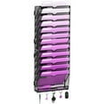 Free Shipping! INTIGE 13-Tier Hanging File Organizer with Hooks Wall ...