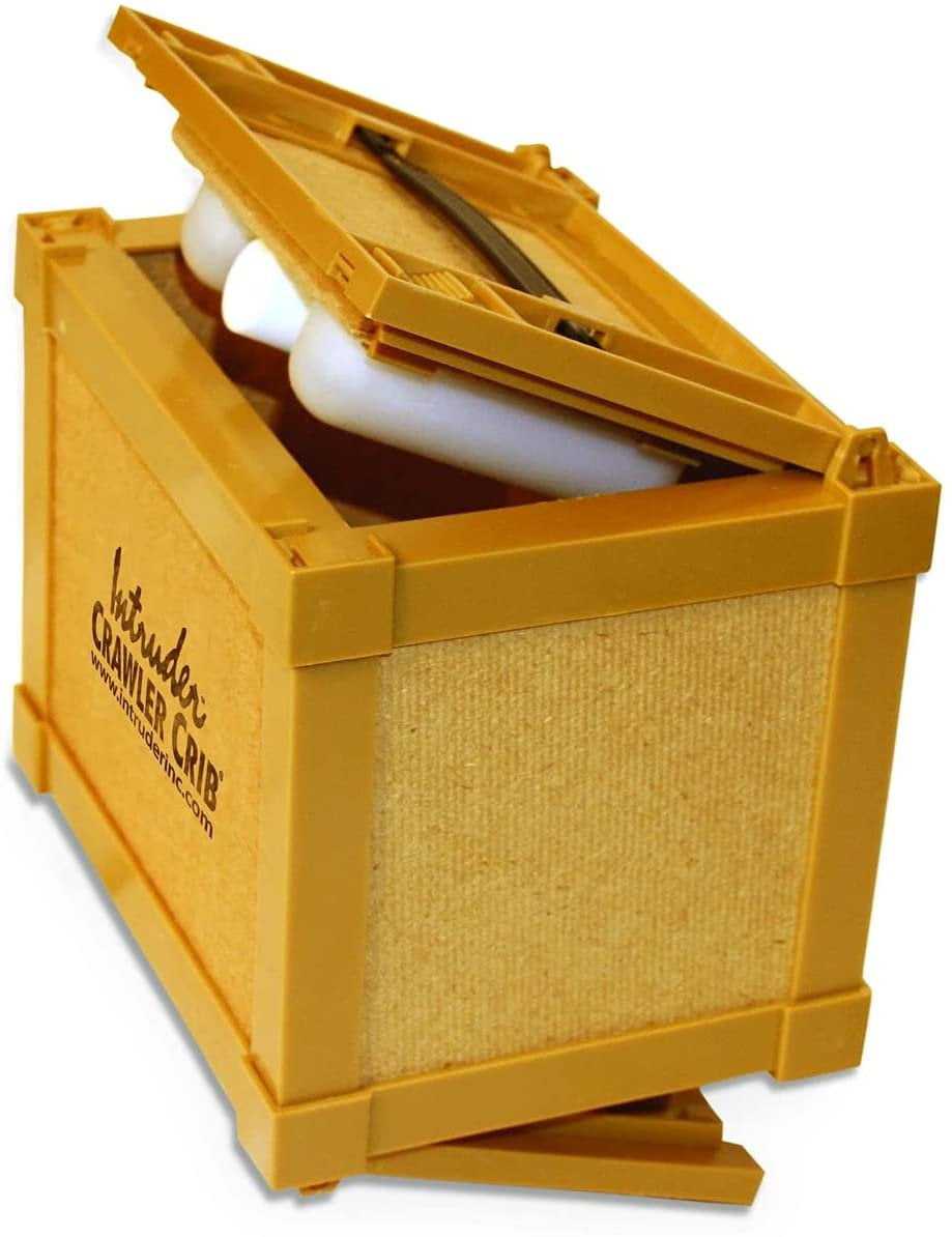 INTRUDER CrawlerCrib Nightcrawler Worm Bait Box, Keeps Bait Fresh ...