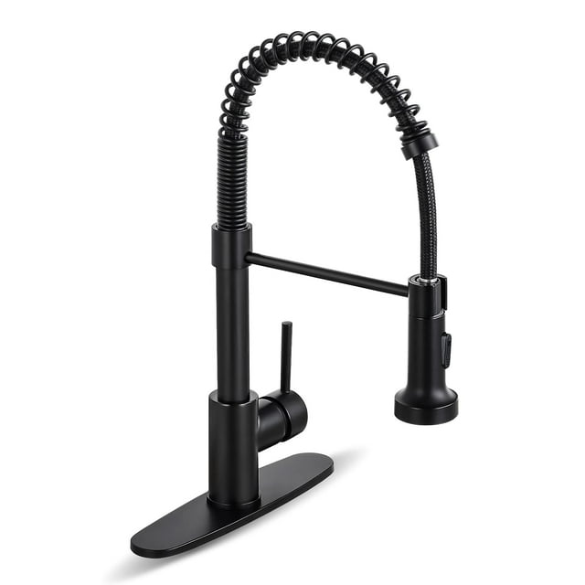 IOCOCEE Kitchen Faucets with Pull Down Sprayer,Black Spring Commercial ...