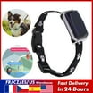 Dogs Cats Pet Bell Tracker GPS Locator Accurate Positioning Collar Gold - Walmart.com