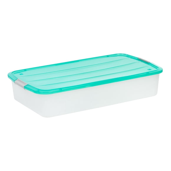 IRIS Storage Containers in Storage Containers - Walmart.com