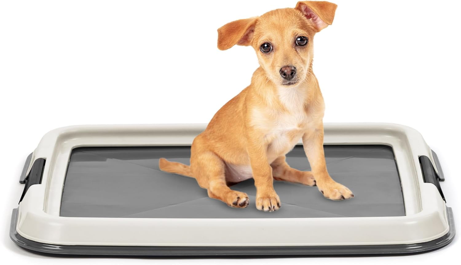 IRIS USA Pet Training Tray, Small, Secured Latches, Non-Skid Rubber ...