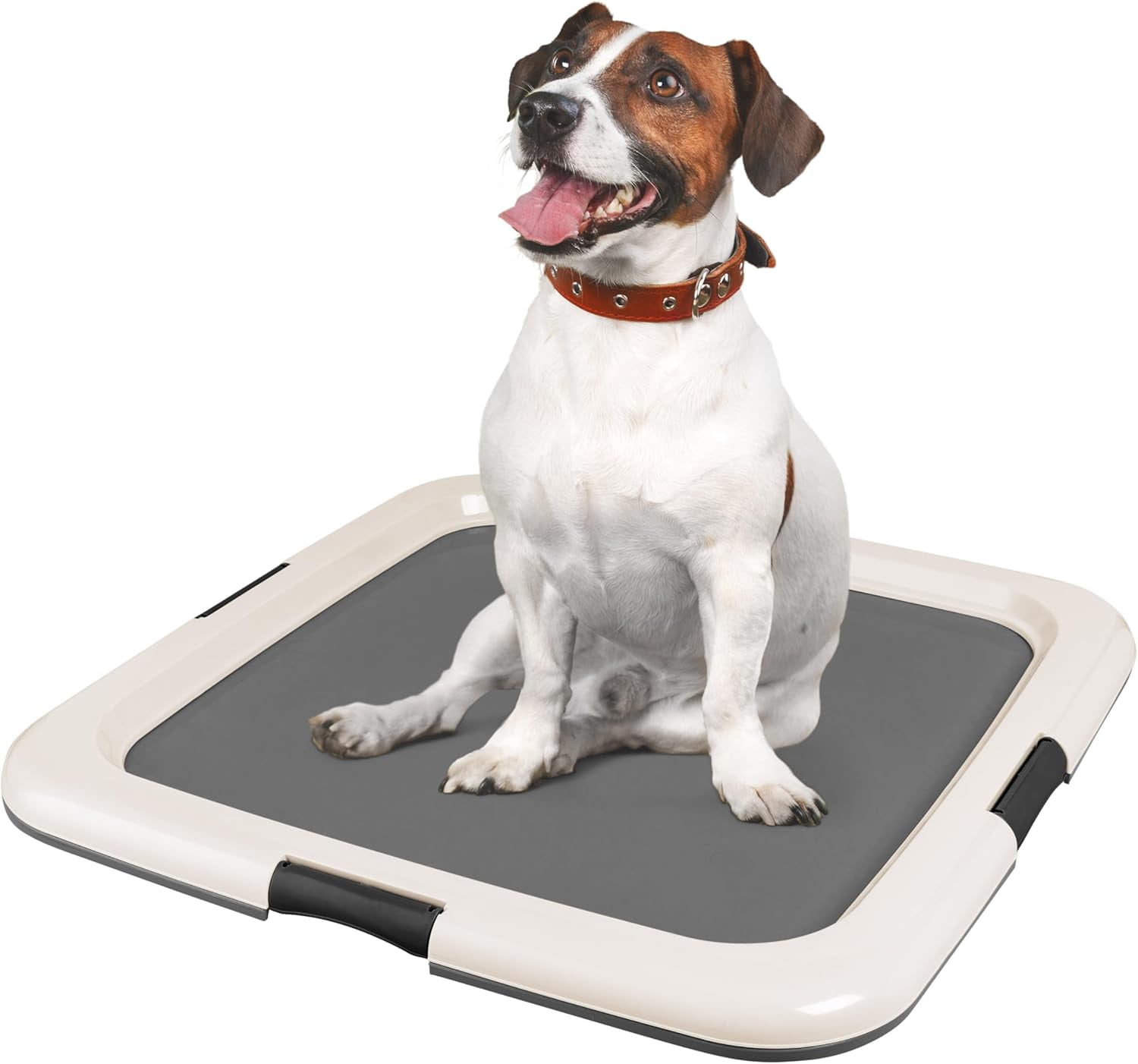 "IRIS USA Large Pet Pee Pad Holder, Training Tray, Dark Gray, 23""x23 ...
