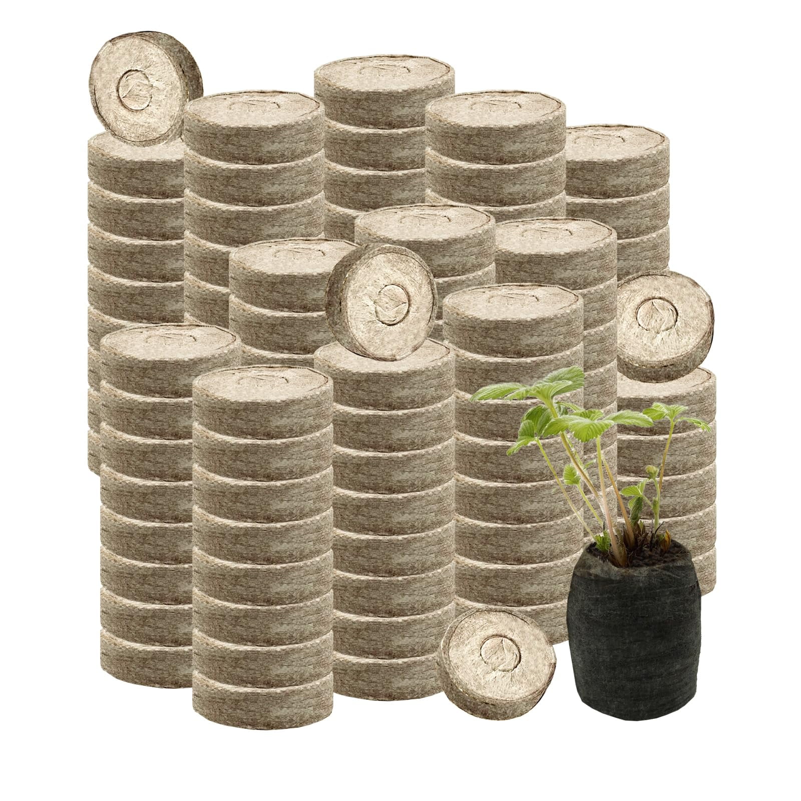 IRWORHDR 50mm 255 Pcs Peat Pellets AIS1 Seed Starter Soil,Compressed ...