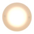 ITC Boat LED Overhead Light 69231PPNS-9-3K | 3 Inch Lexan Radiance ...