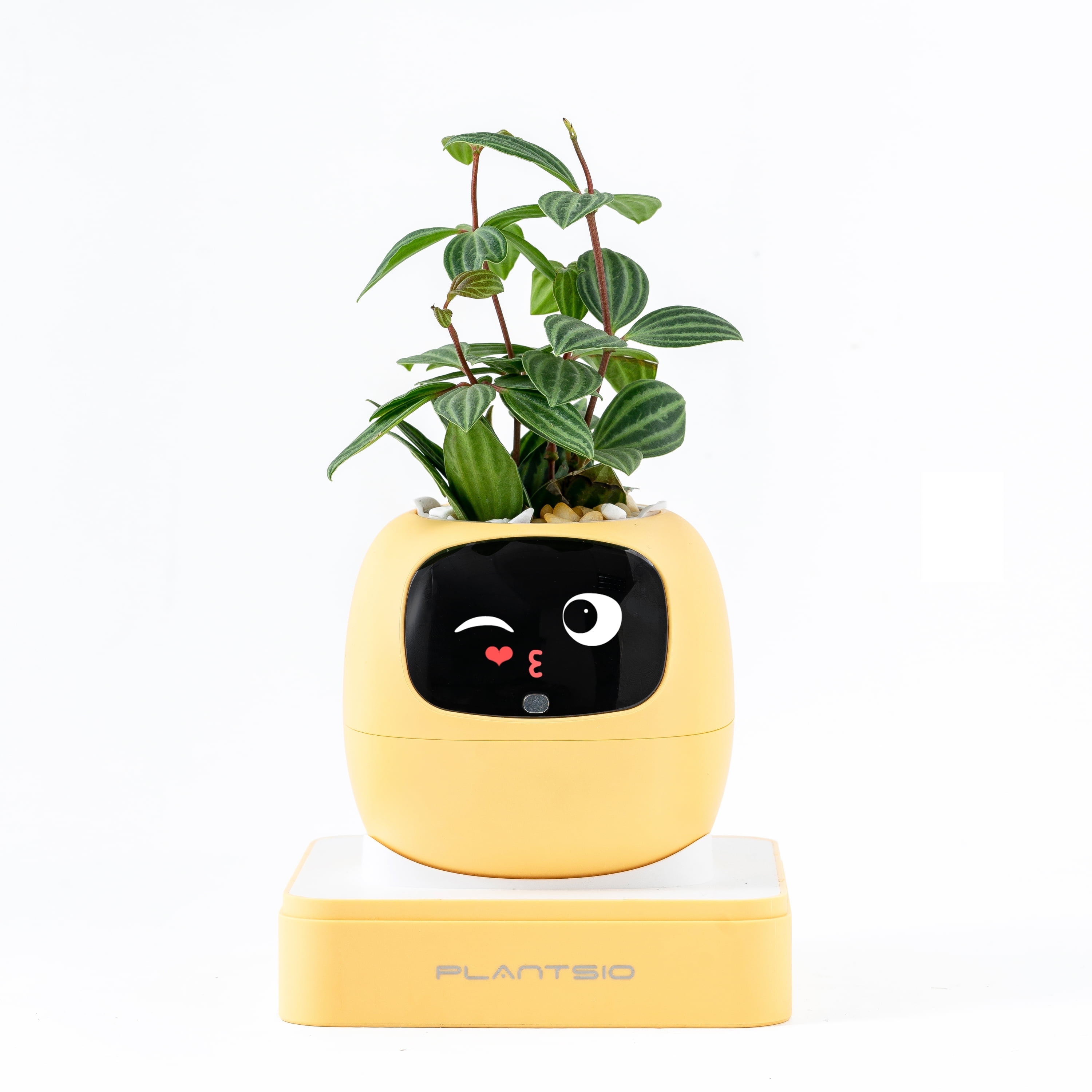 ITIGOITIE Smart Flowerpot with Artificial Intelligence, Time ...