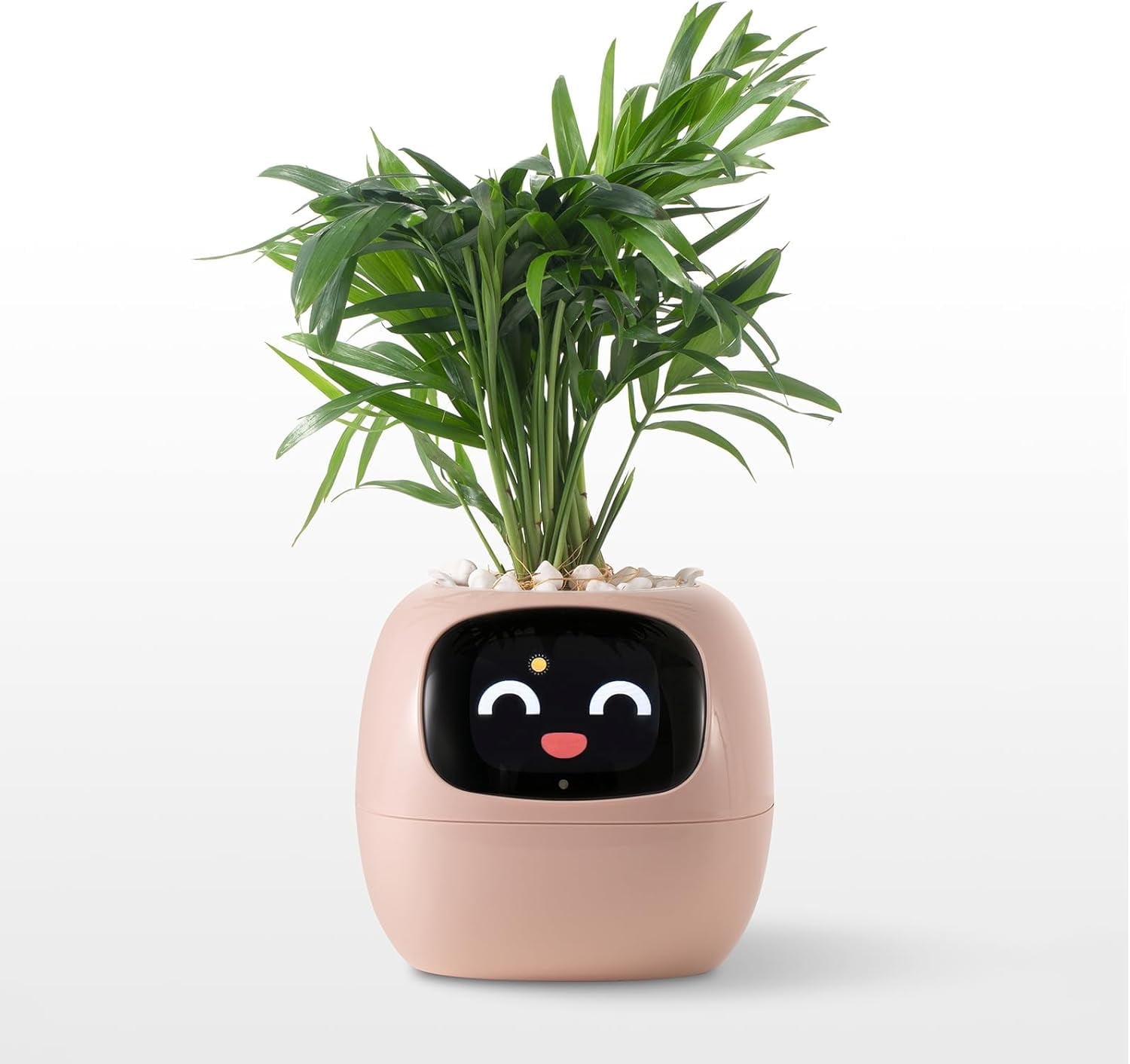 ITIGOITIE Smart Flowerpot with AI, Time Temp Display, Wi-Fi, Multiple ...