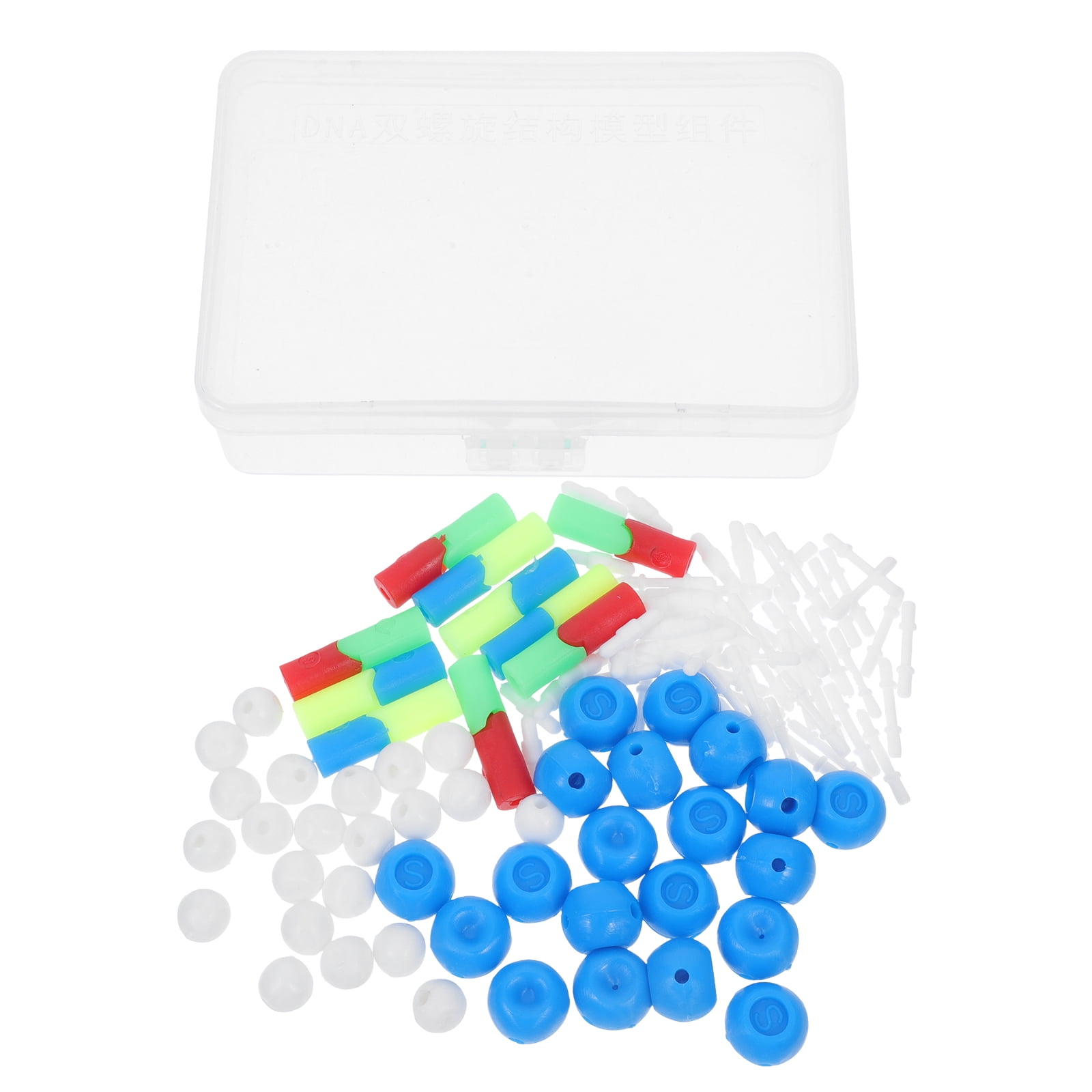 ITSELFER 1 Set Dna Model Science Classroom Decor Double Helix Model ...