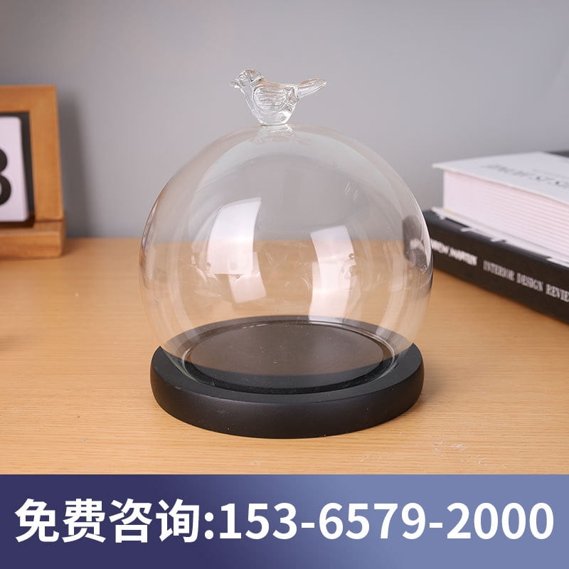 ITSELFER 1 Set Glass Display Dome Cloche With Wood Base Display Dome ...