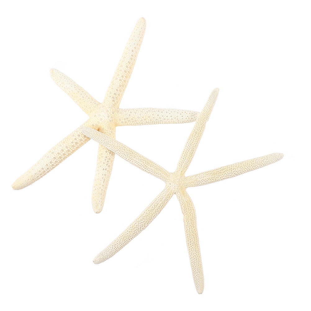 ITSELFER 2pcs Natural Sea Stars Decor Creative Wedding Sea Star Prop ...