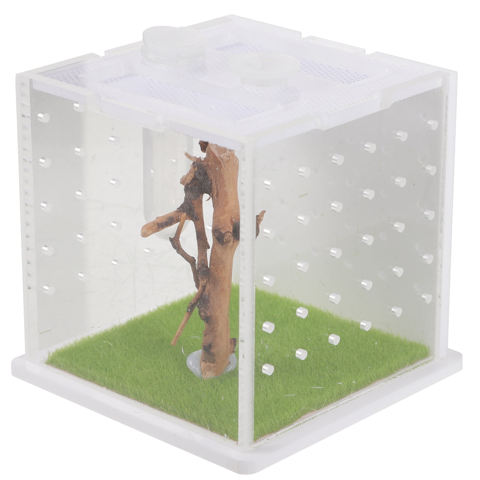 ITSELFER Clear Spider Enclosure Box Jumping Spider Habitat Box Acrylic ...